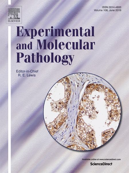 Experimental and Molecular Pathology - 学术期刊 - 恩特学术 - scimago | 影响因子 ...